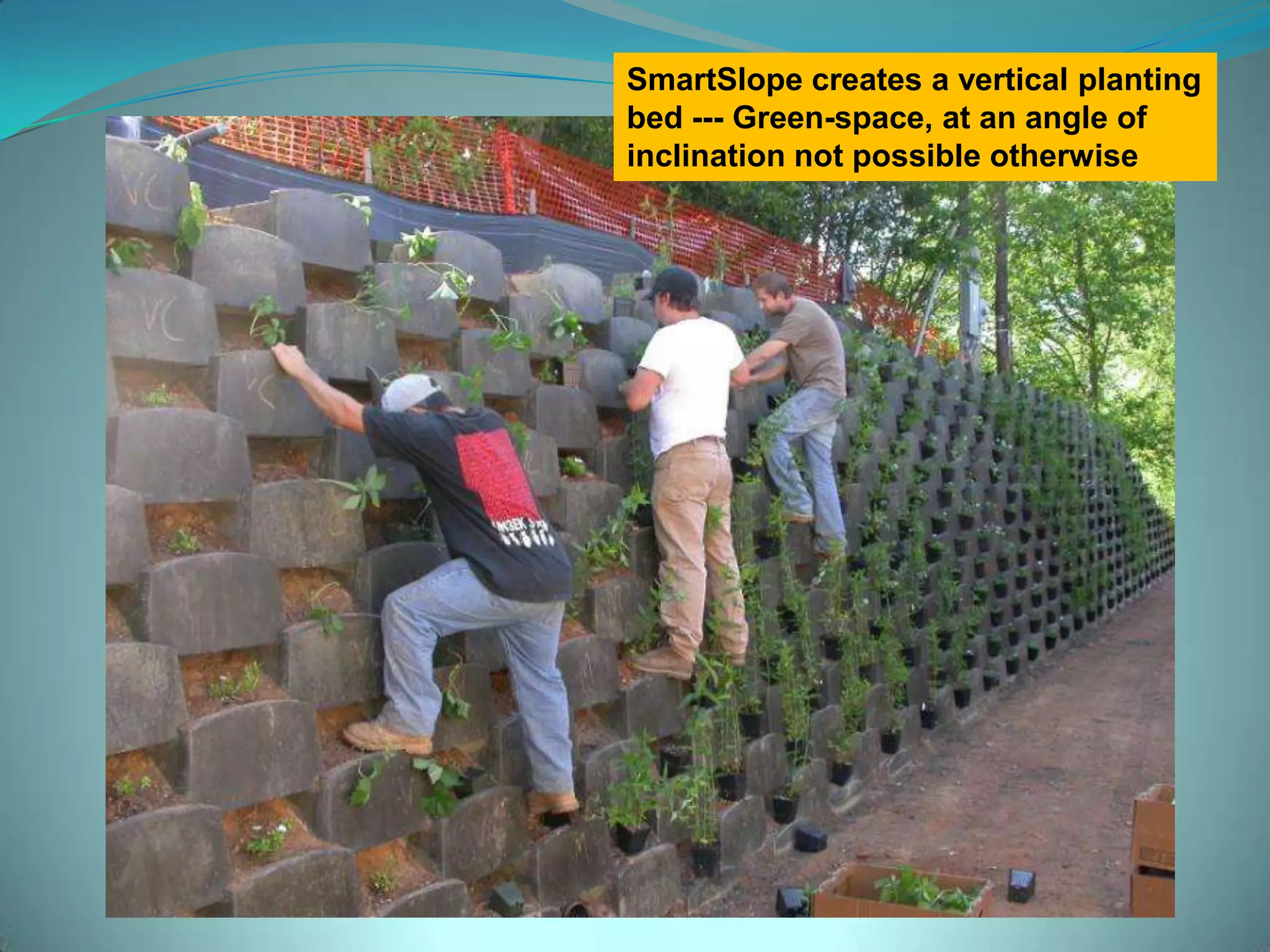 The case for living retaining walls and their movement from niche to mainstream | PPTX