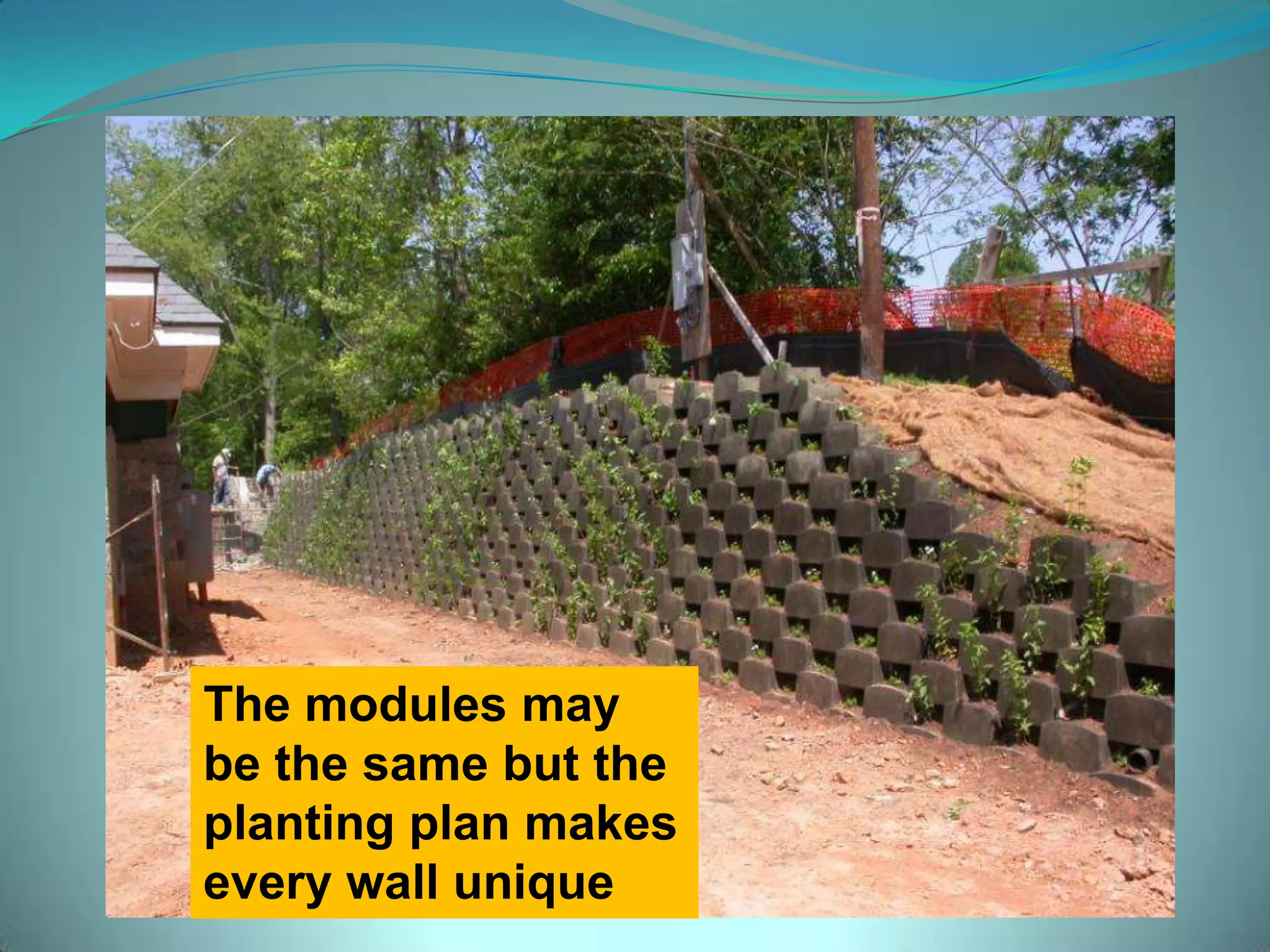 The case for living retaining walls and their movement from niche to ...