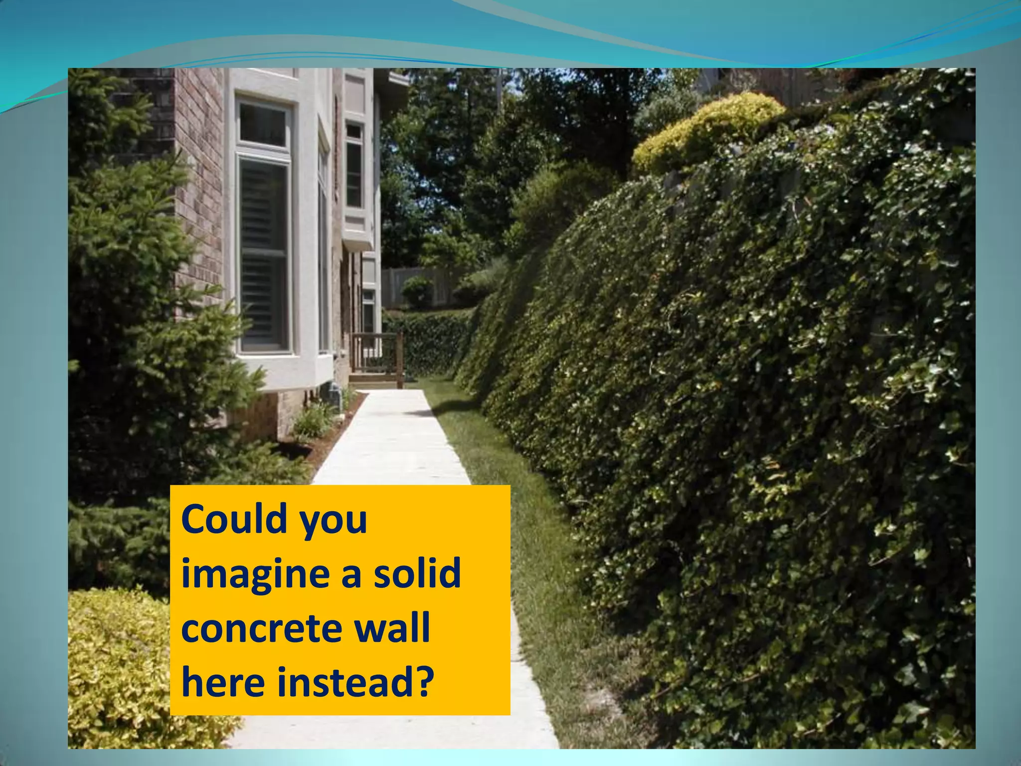 The case for living retaining walls and their movement from niche to ...