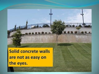 The case for living retaining walls and their movement from niche to ...