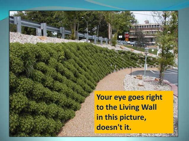 The case for living retaining walls and their movement from niche to ...