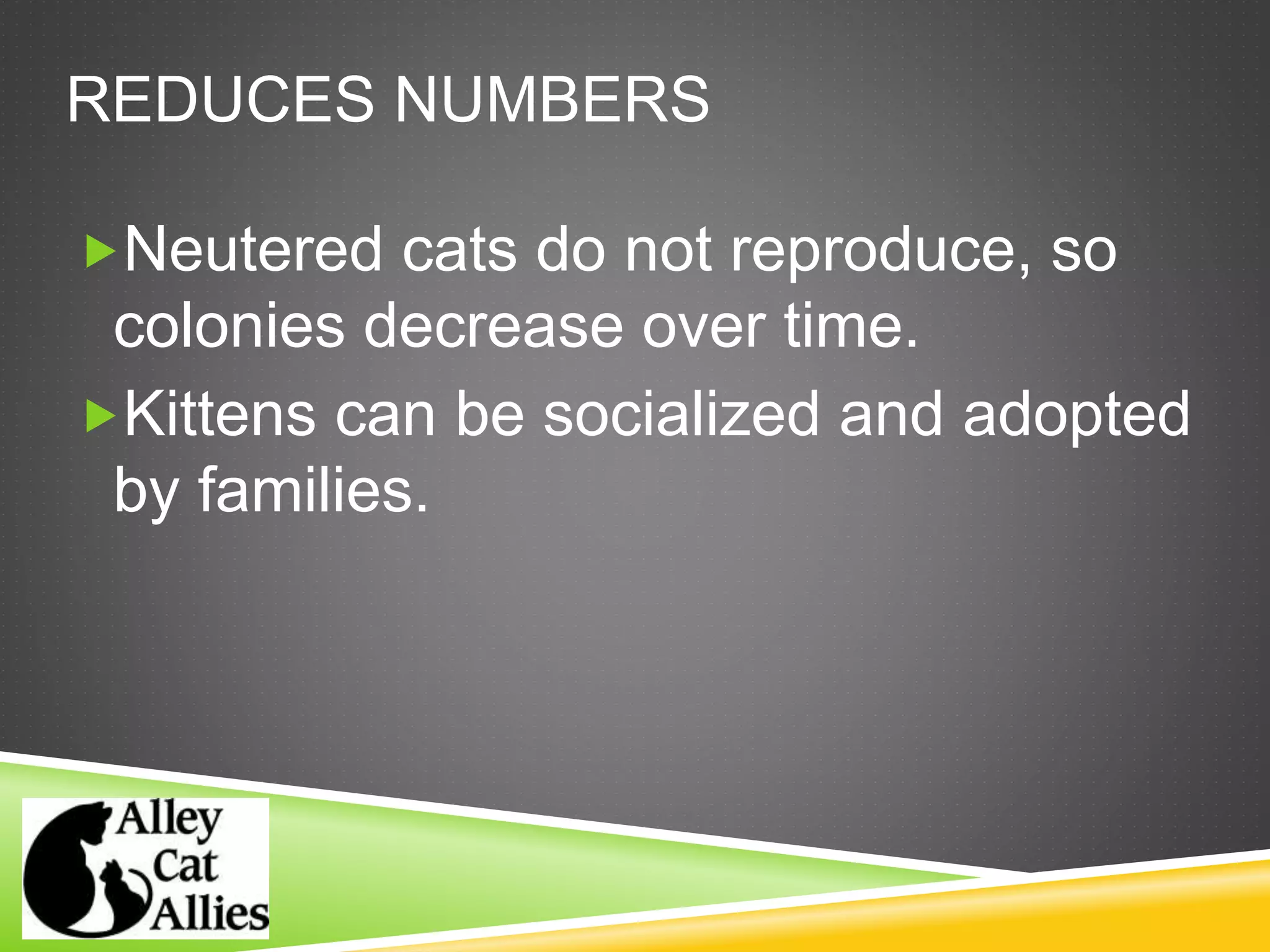 The Case for TNR | PPTX