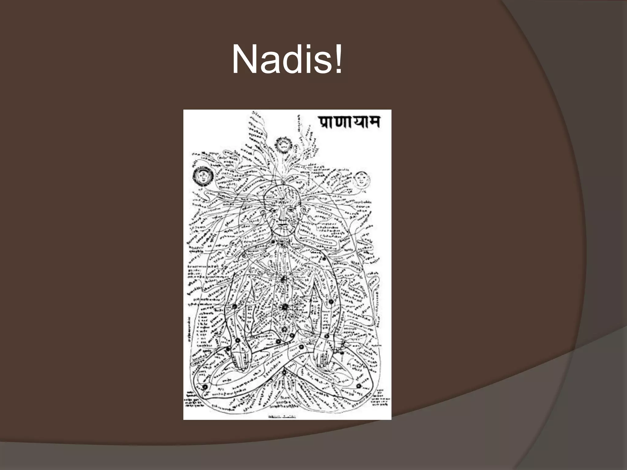 The caste system of india | PPTX