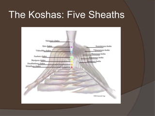 The caste system of india | PPTX