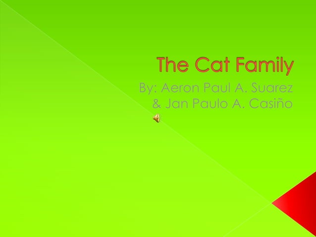 The cat family | PPT