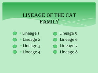 The Cat Family | PPTX