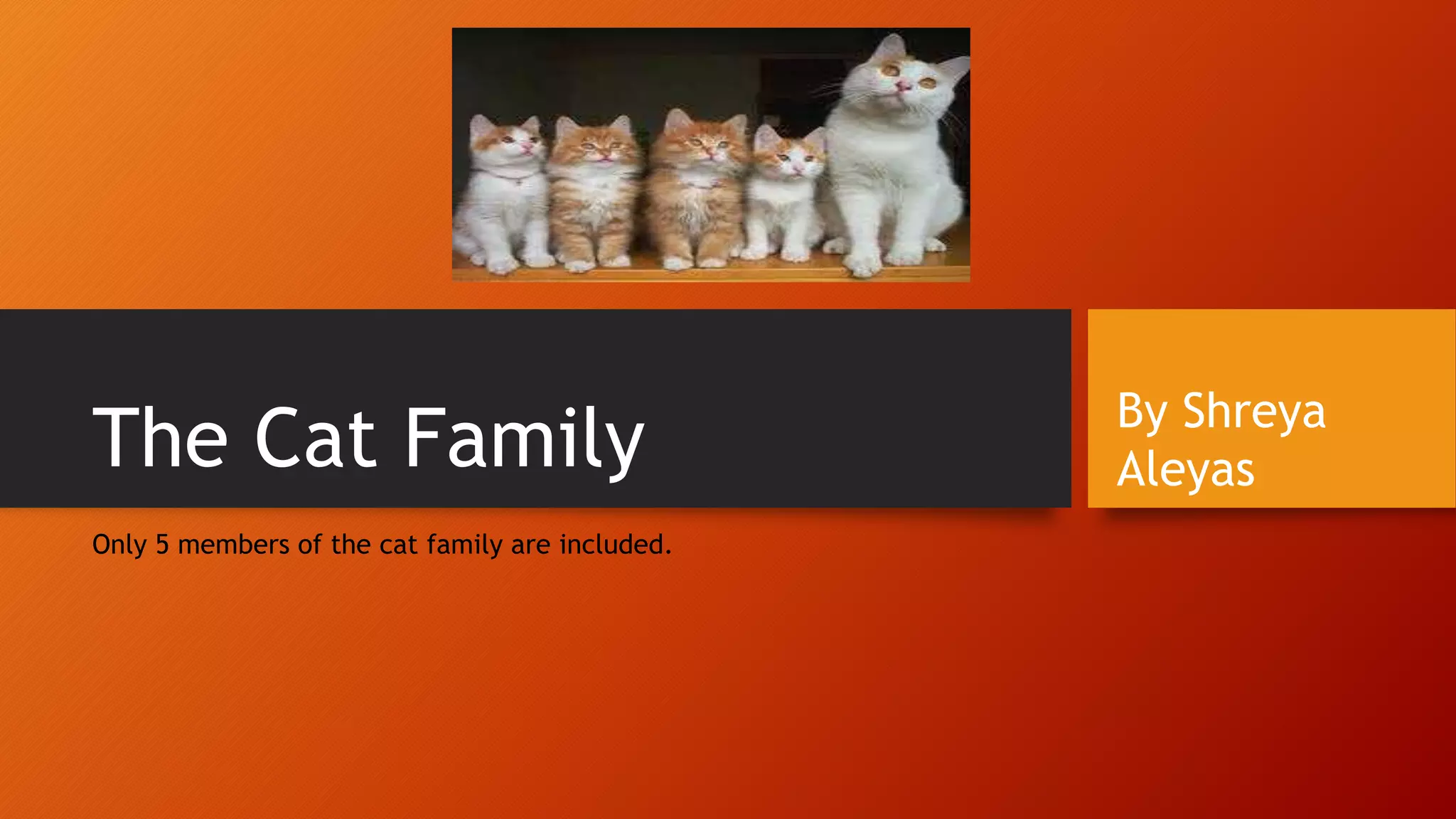 The cat family shreya | PPT