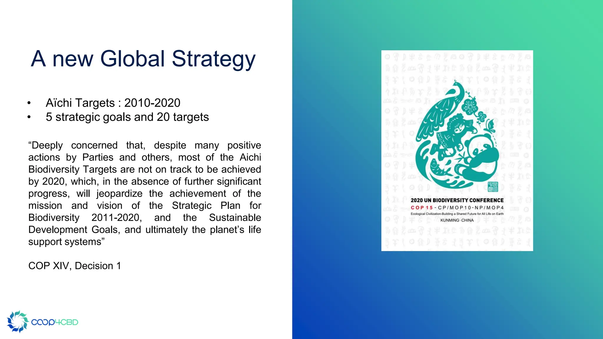 The CBD process in the context of a new global strategy | PDF