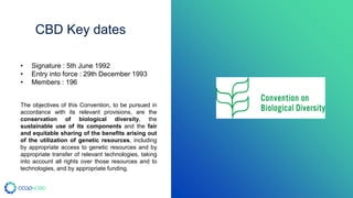 The CBD process in the context of a new global strategy | PPT