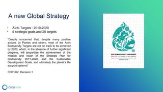 The CBD process in the context of a new global strategy.pdf