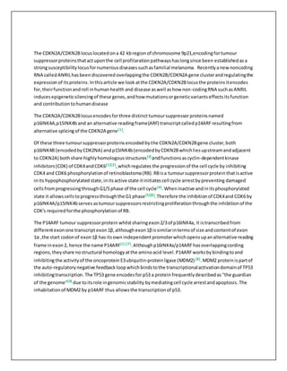 The CDKN2A | DOCX