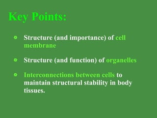 The Cell | PPT