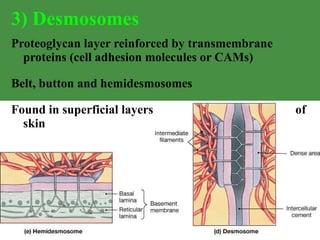 The Cell | PPT