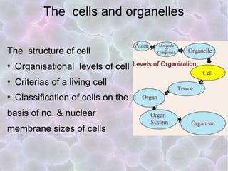 The cell | PPT
