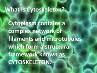 Cytoskeleton Definition