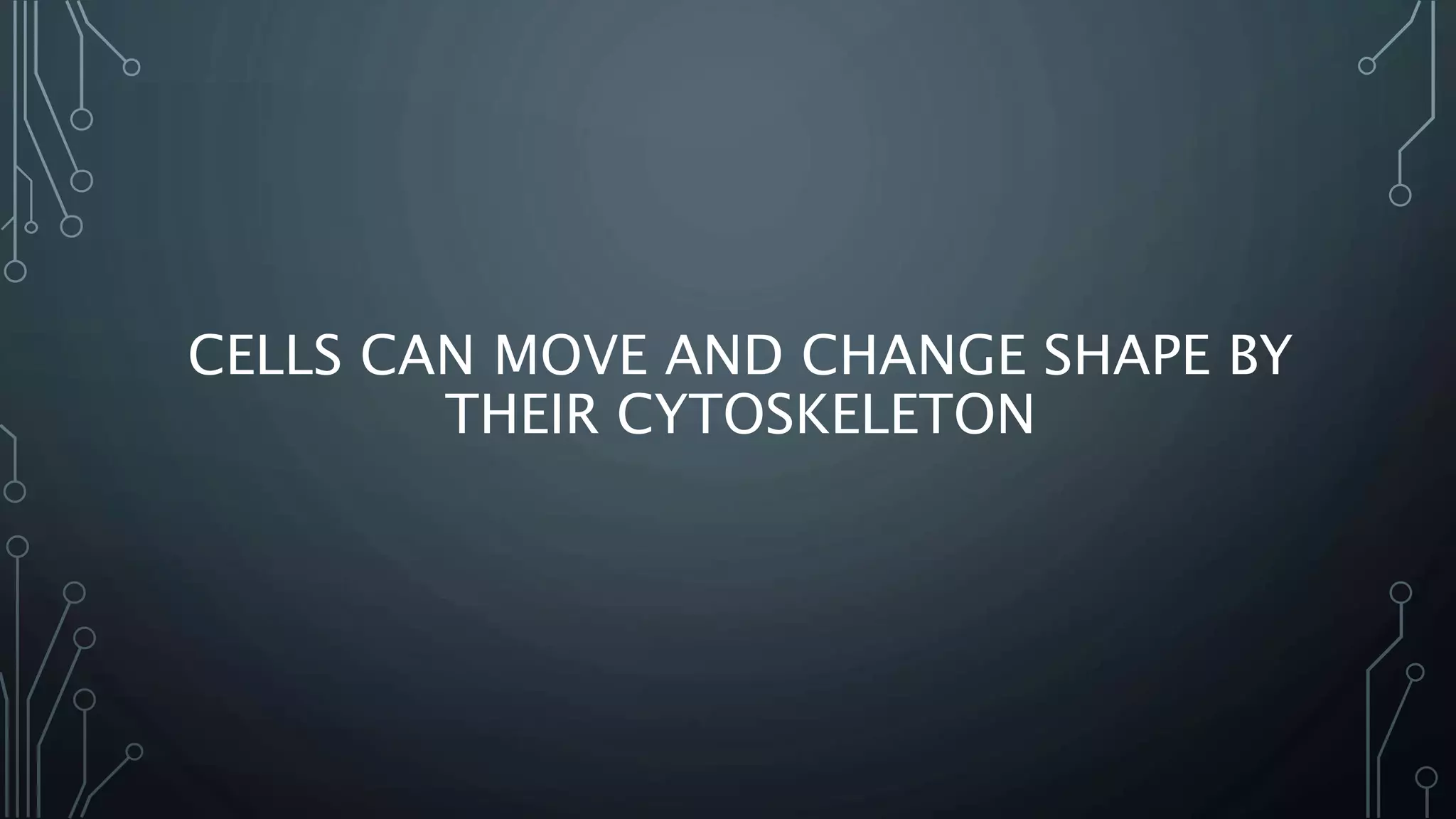 The cell - basics | PPTX