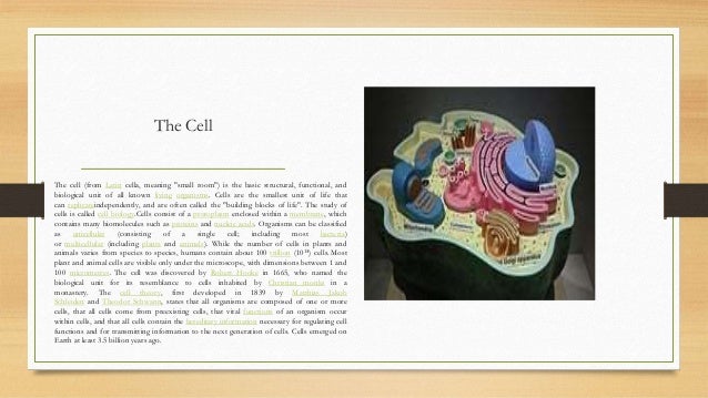 The cell