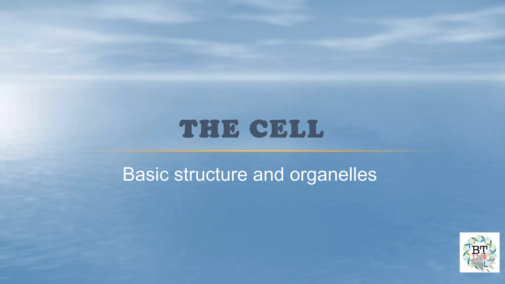 The cell - basic structure and organelles | PPT