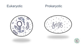 The cell - basic structure and organelles | PPT