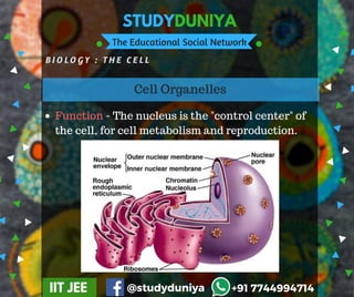 The cell | PDF | Biological Sciences | Science