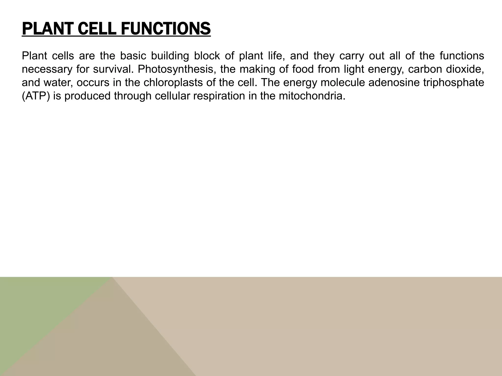 All about cells !!!!!!!!!!!!!!!!!!!!!!!!!!!!! | PDF