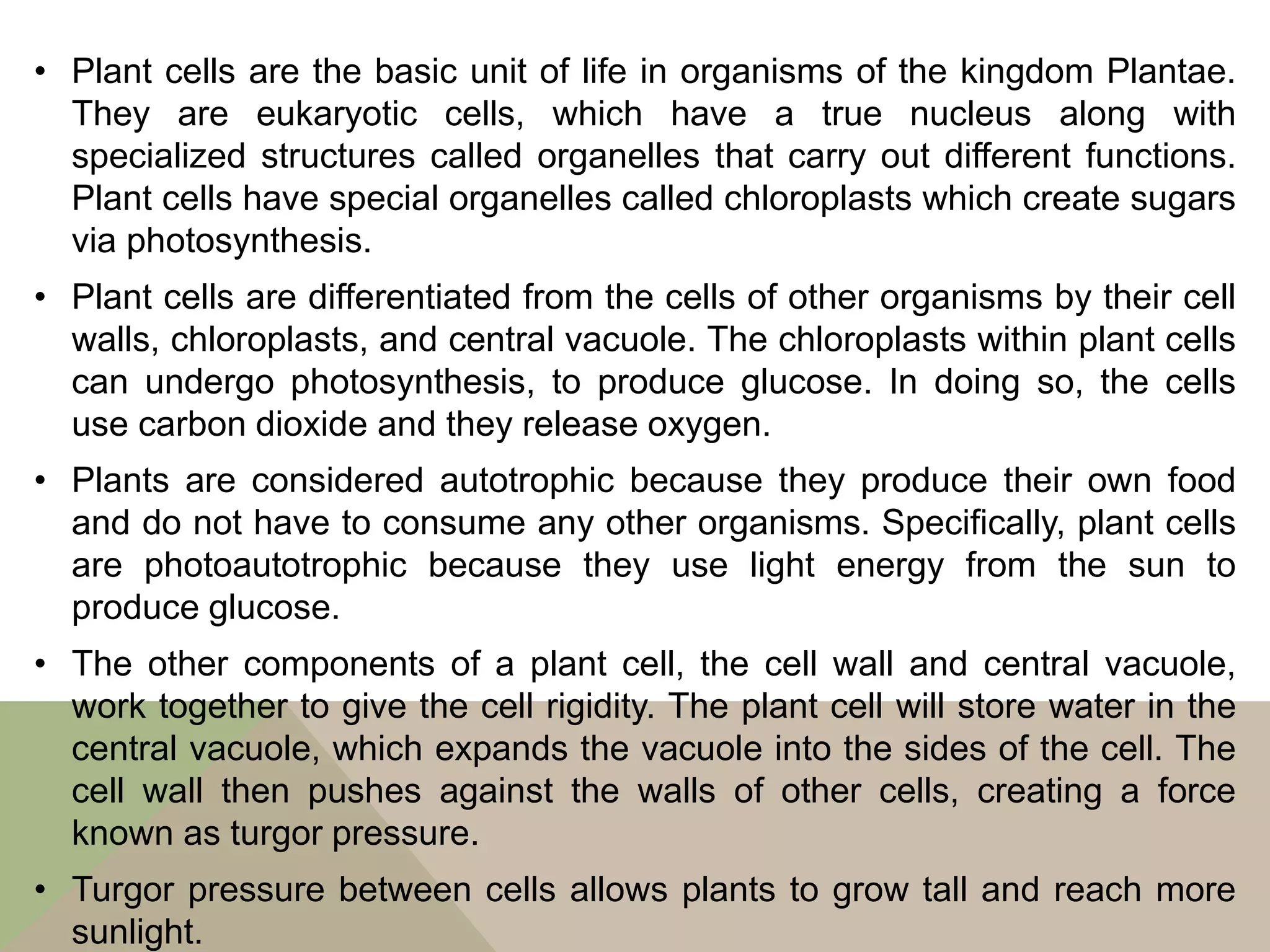 All about cells !!!!!!!!!!!!!!!!!!!!!!!!!!!!! | PDF