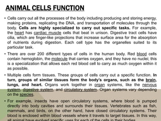 All about cells !!!!!!!!!!!!!!!!!!!!!!!!!!!!! | PDF
