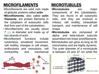 The cell: Animal cell, plant cell | PPTX