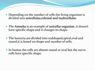 The cell by Samuel Rakshan | PPT