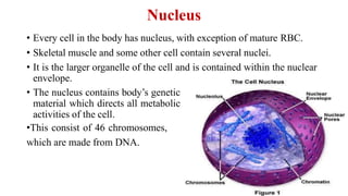 The cell | PPTX