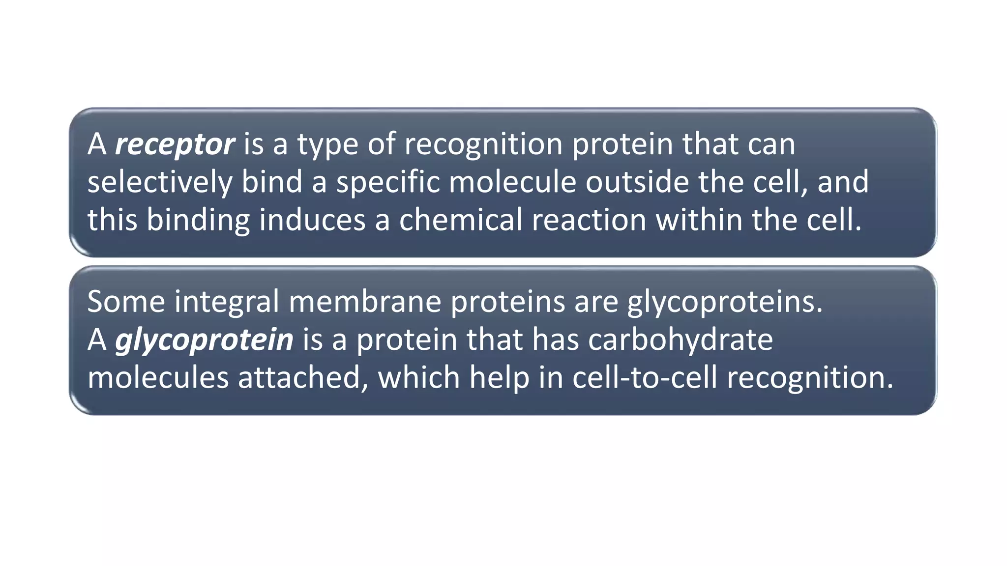 Animal Cell for F Y D. Pharm | PPTX