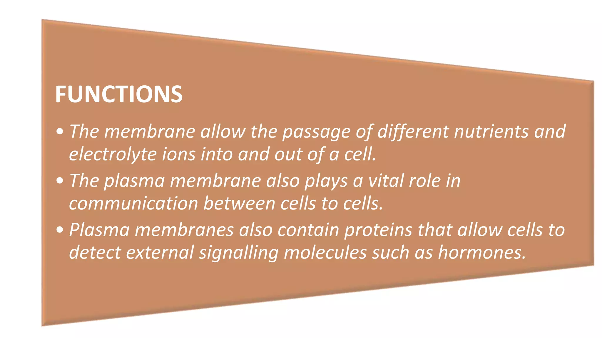 Animal Cell for F Y D. Pharm | PPTX