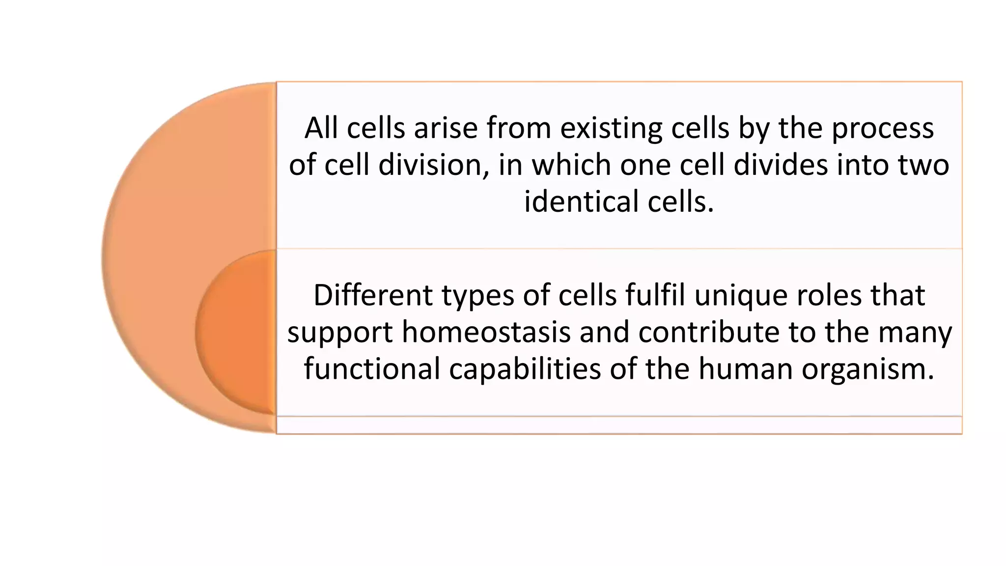Animal Cell for F Y D. Pharm | PPTX