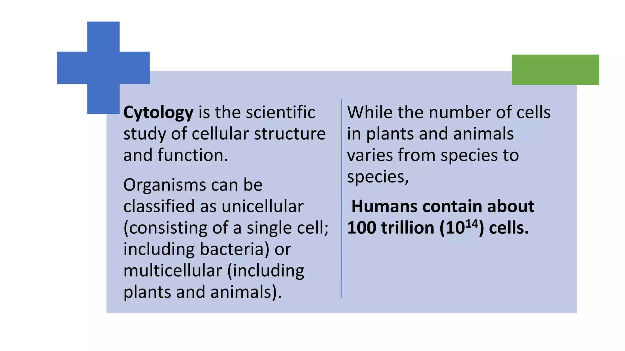 The Animal Cell | PPT