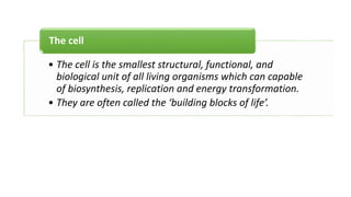 The Animal Cell | PPT