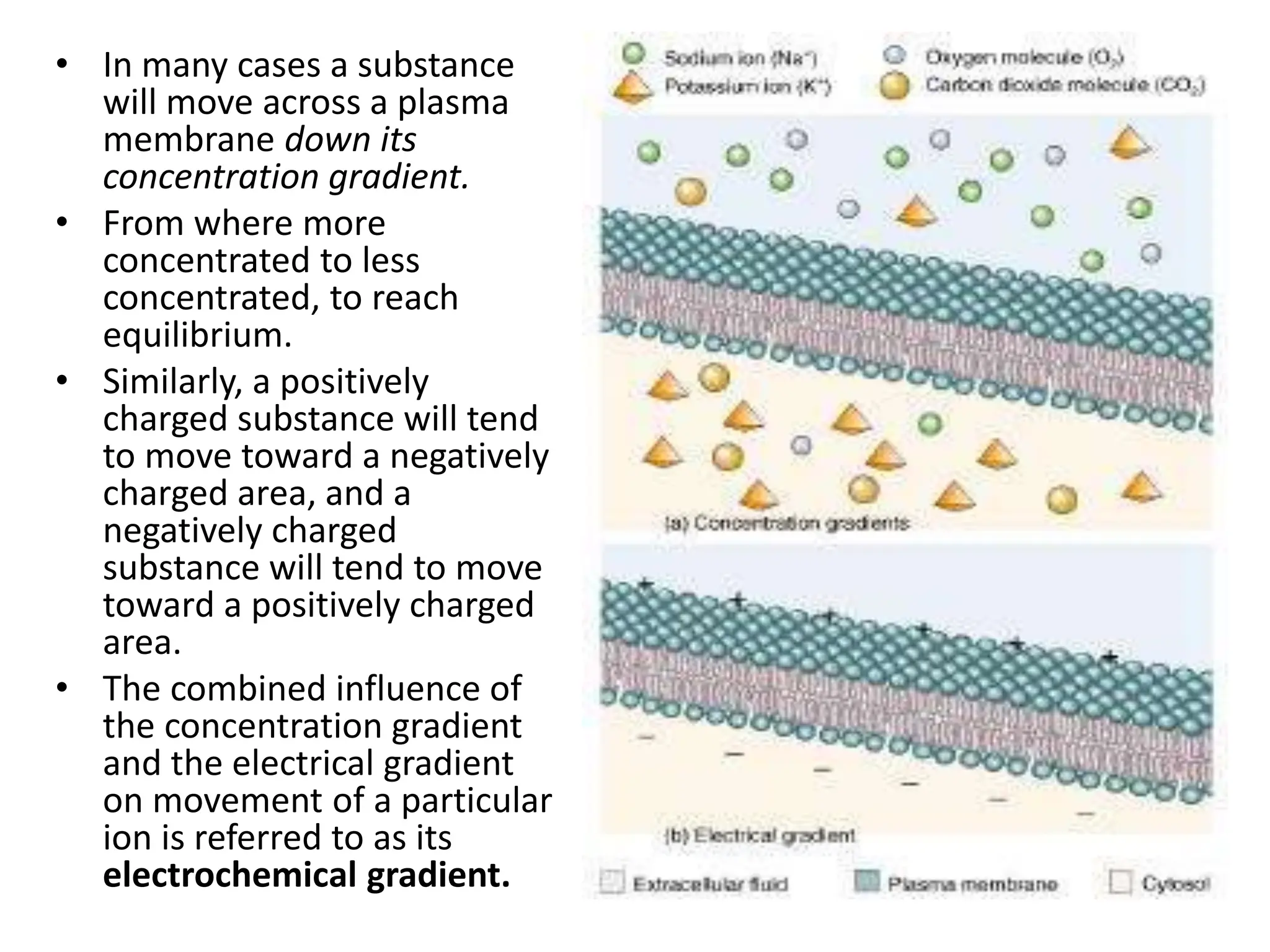 Cell (Cellular level of organization) for B.Pharm Sem 1st.pptx