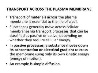 Cell (Cellular level of organization) for B.Pharm Sem 1st.pptx