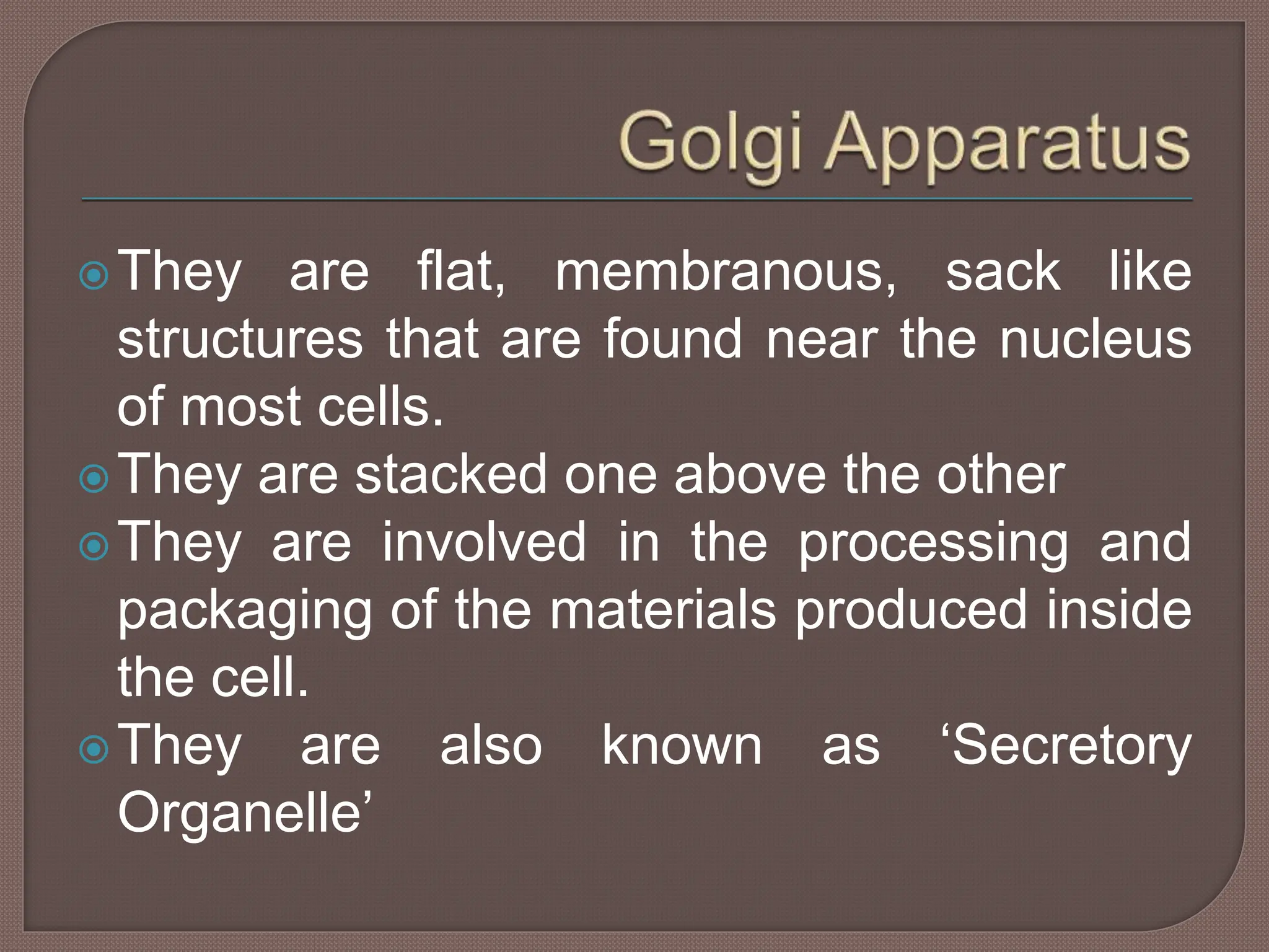 Class 9 Chapter 1 Biology The Fundamental Unit of Life | PPTX