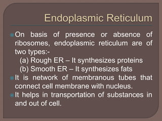 Class 9 Chapter 1 Biology The Fundamental Unit of Life | PPTX