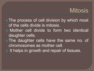 Class 9 Chapter 1 Biology The Fundamental Unit of Life | PPTX