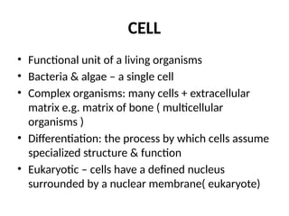 THE CELL IN HUMAN ANATOMY AND PHYSIOLOGY | PPT