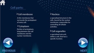 Cell- The structural and functional unit of life.pptx
