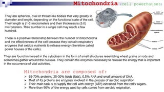 The Cell - Types of Cells - Cell Organelles -- Cellular Organization ...