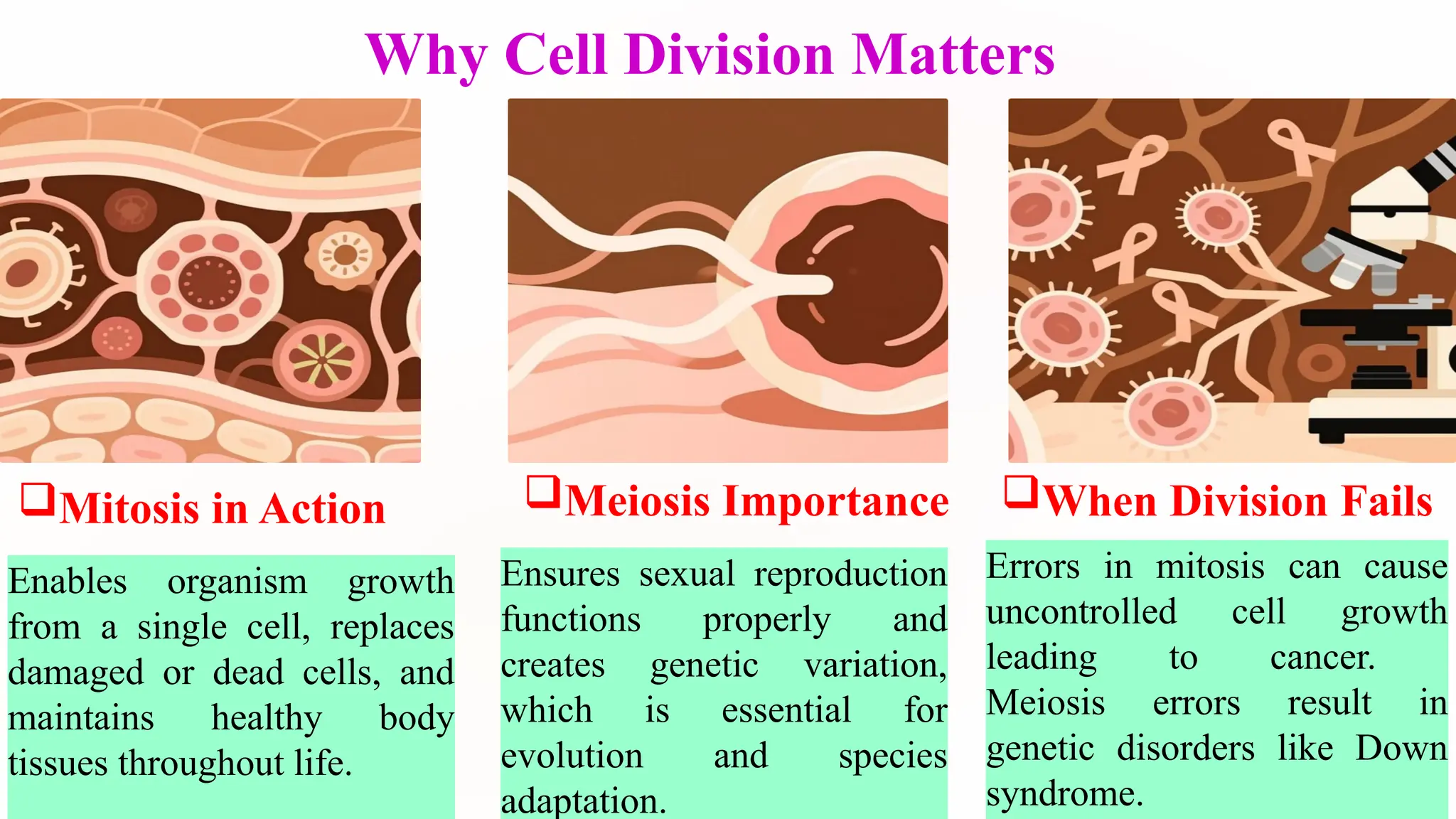 The Cell & Cell Cycle-detailed structure and function of organelles.pptx