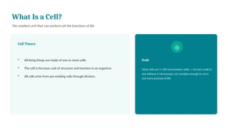Comprehensive Overview of Cells: Structure, Function, and Types in ...