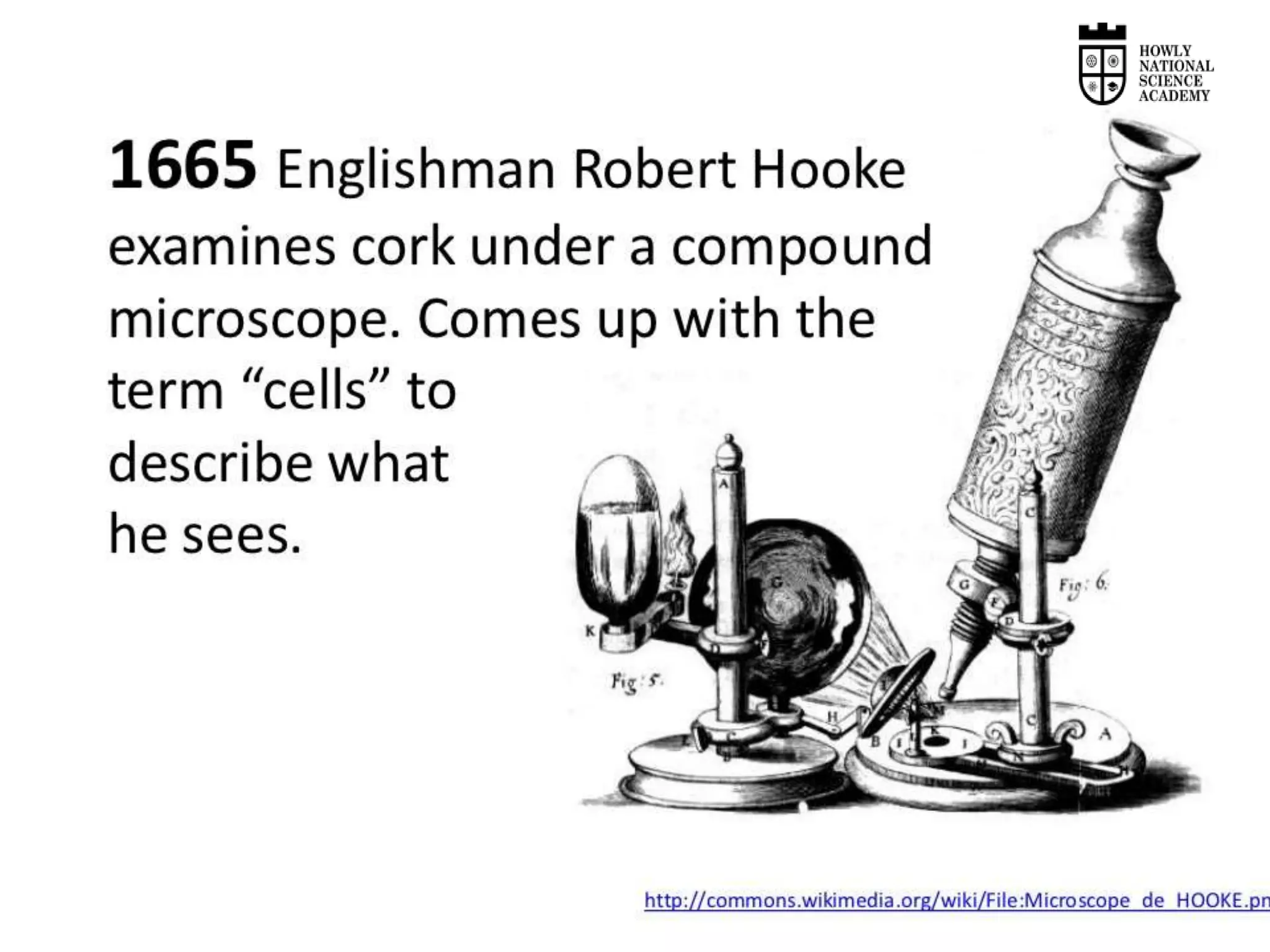 The Cell Introduction Ppt