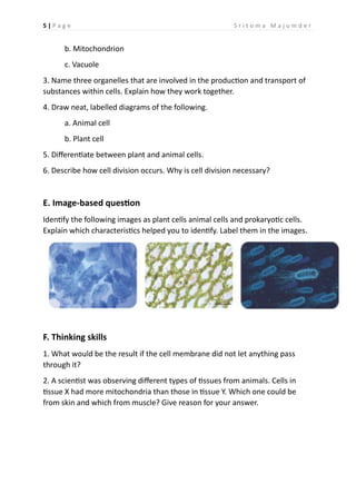 CBSE - Grade 8 - Biology - The Cell - Neptune Science - Exercise | PDF