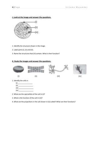 CBSE - Grade 8 - Biology - The Cell - Neptune Science - Worksheet | PDF
