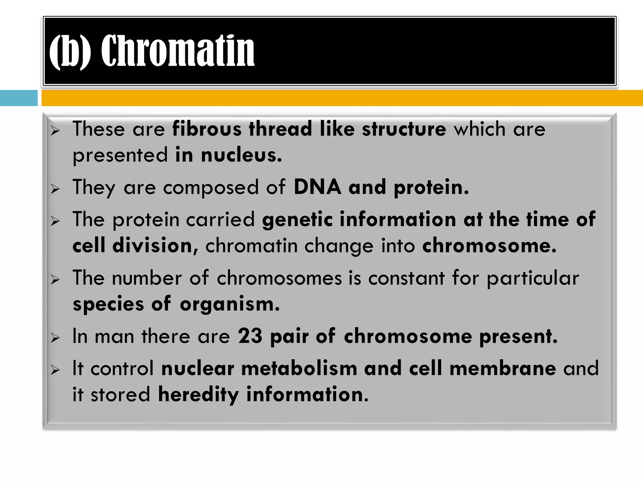 The Cell | PDF