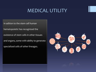 The cell and its evolution | PPT